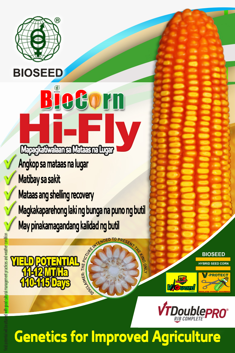 BioCorn Hi Fly - Bioseed Research Philippines Inc.