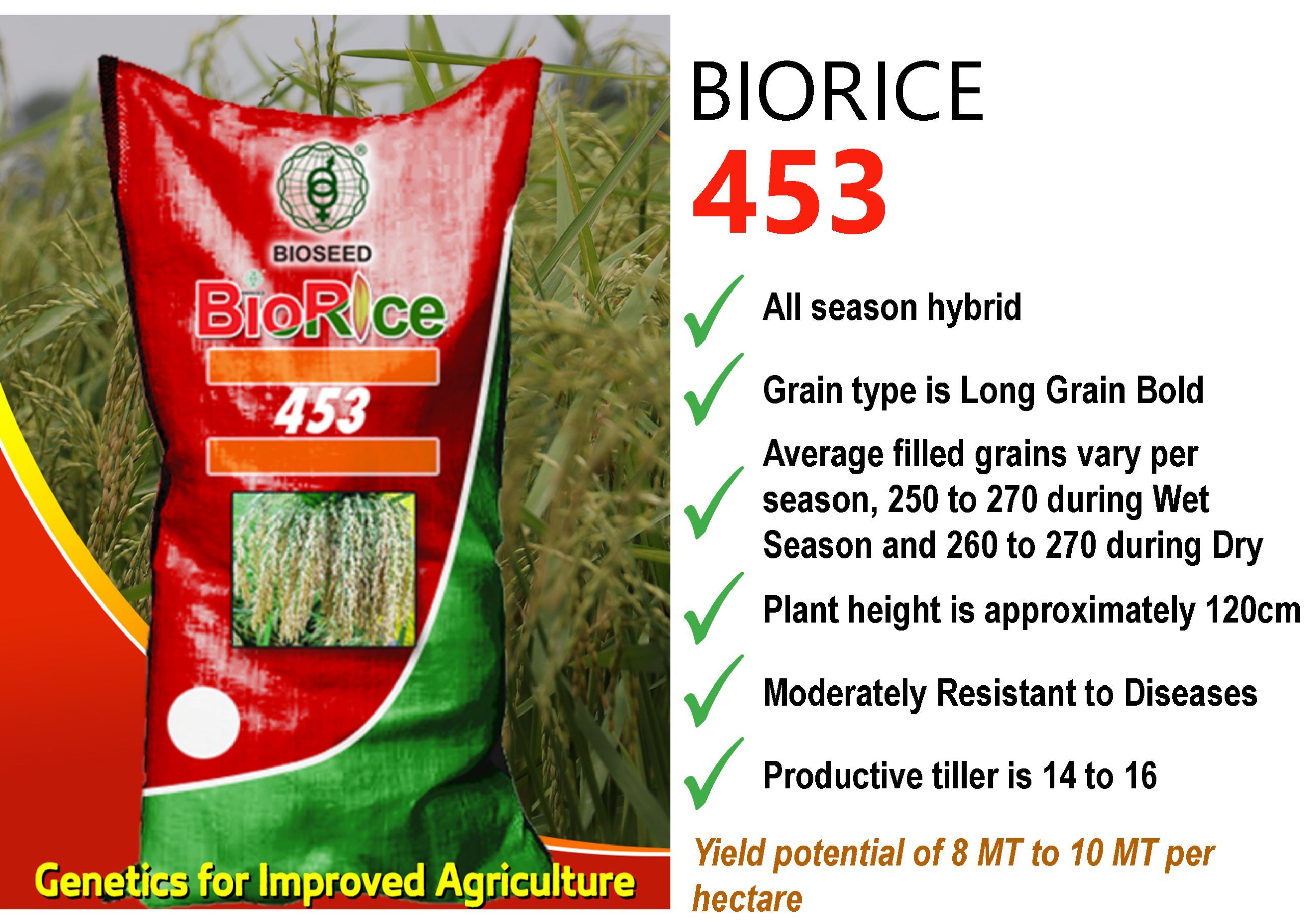 Biorice 453 - Bioseed Research Philippines Inc.