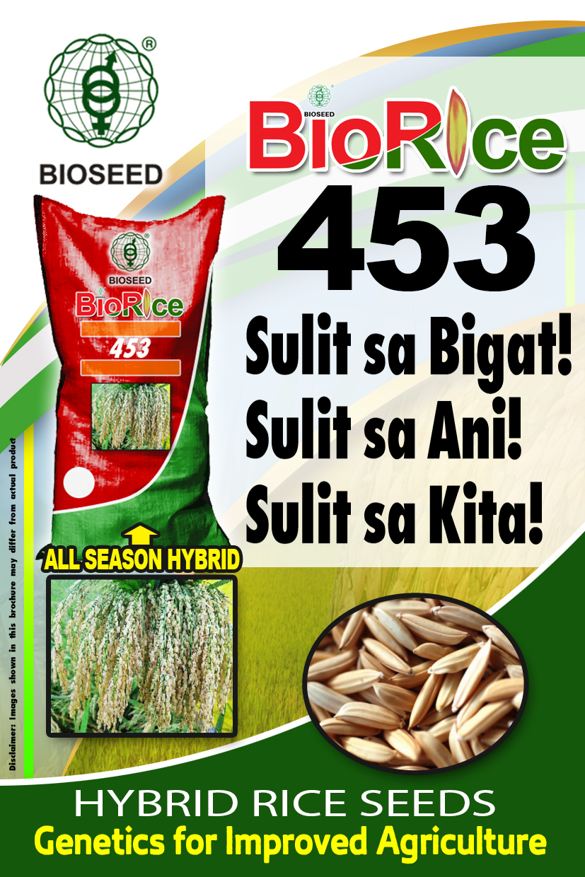 Biorice 453 - Bioseed Research Philippines Inc.