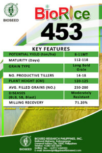 Biorice 453 - Bioseed Research Philippines Inc.