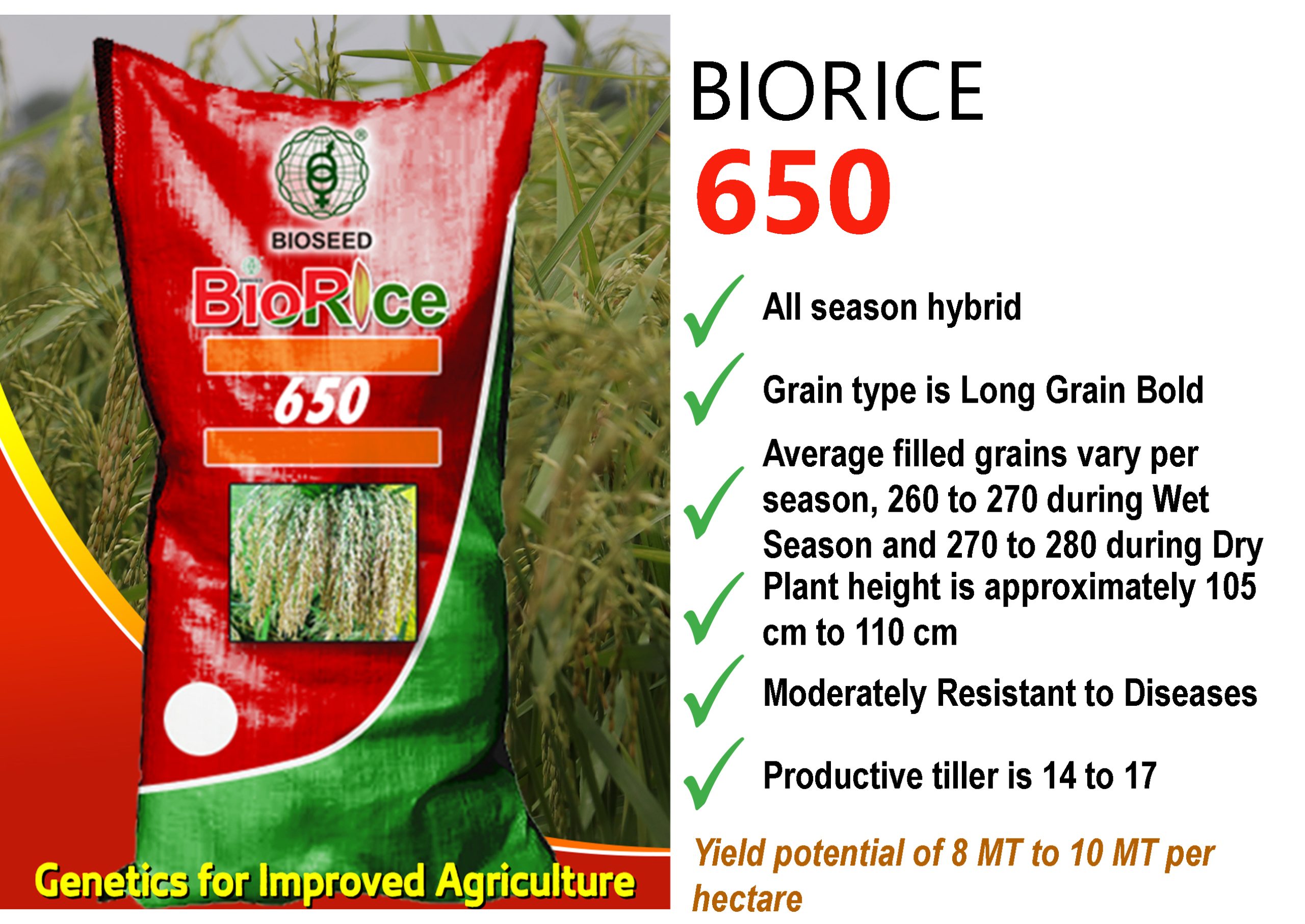Biorice 650 - Bioseed Research Philippines Inc.
