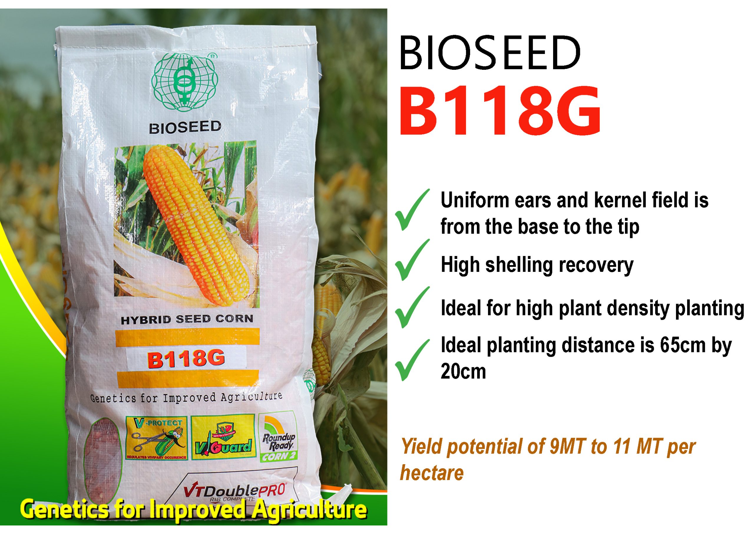 Bioseed B118G - Bioseed Research Philippines Inc.