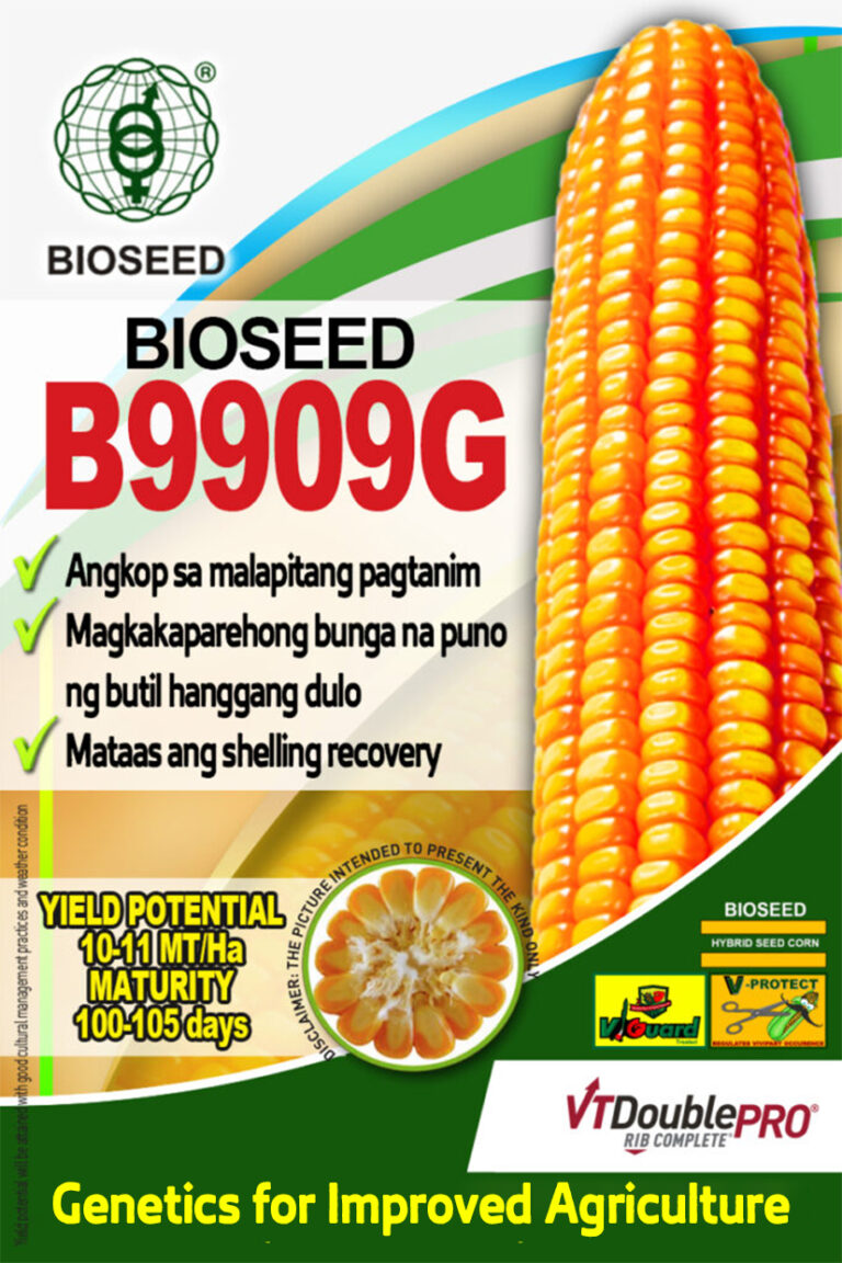 Bioseed B9909G - Bioseed Research Philippines Inc.