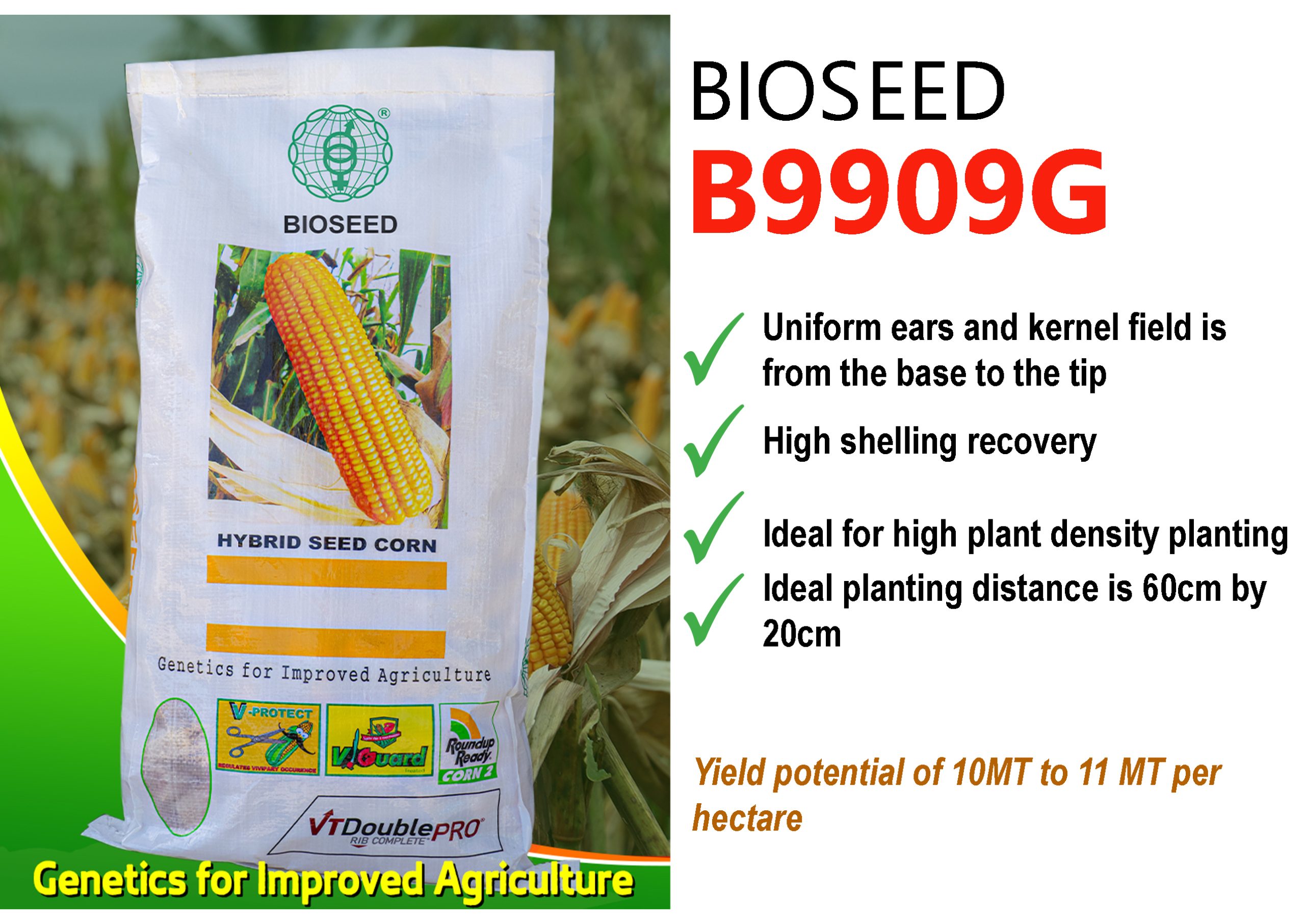 Bioseed B9909G - Bioseed Research Philippines Inc.